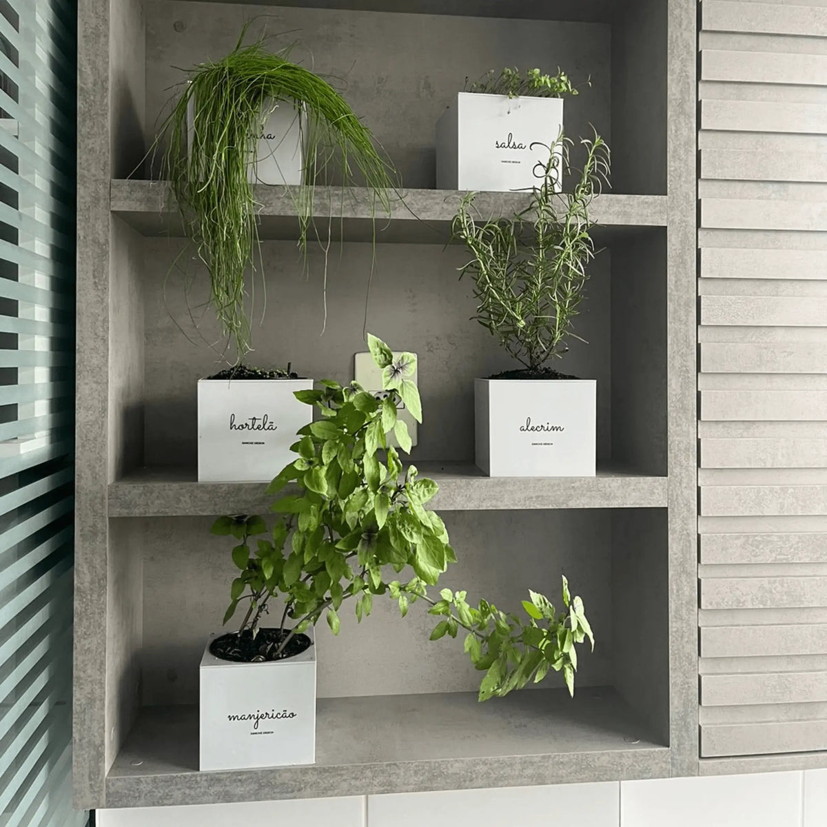 Kit Horta Urbana Autoirrigável | Cultive sua própria horta